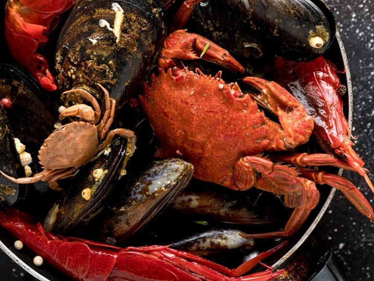 Types of Crabs for Seafood Lovers